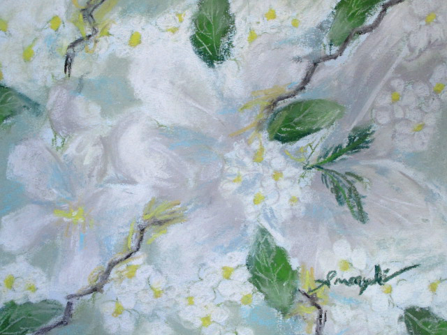 Blooming Artists – Top of the World Studio Gallery
