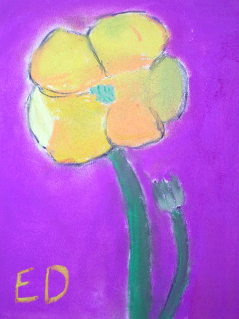 Blooming Artists – Top of the World Studio Gallery